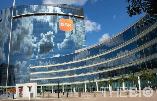 GSK Shingles Vaccine Shingrix, shows 100% vaccine efficacy in China