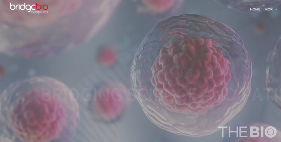 Bridge Biotherapeutics halts clinical trials for lung cancer drug candidate 'BBT-176'... What’s ...