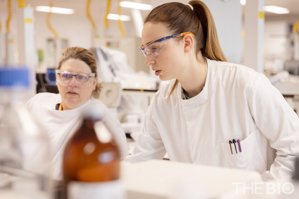 GSK 대상포진 백신 '싱그릭스', 예방 효과 11년 차에도 지속