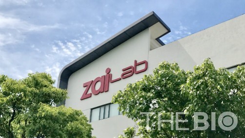 中자이랩 'DLL3' 표적 ADC 'ZL-1310', 소세포폐암 1a상서 ORR 74%